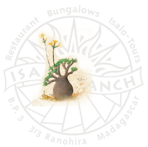 Hôtel Isalo Ranch Ranohira